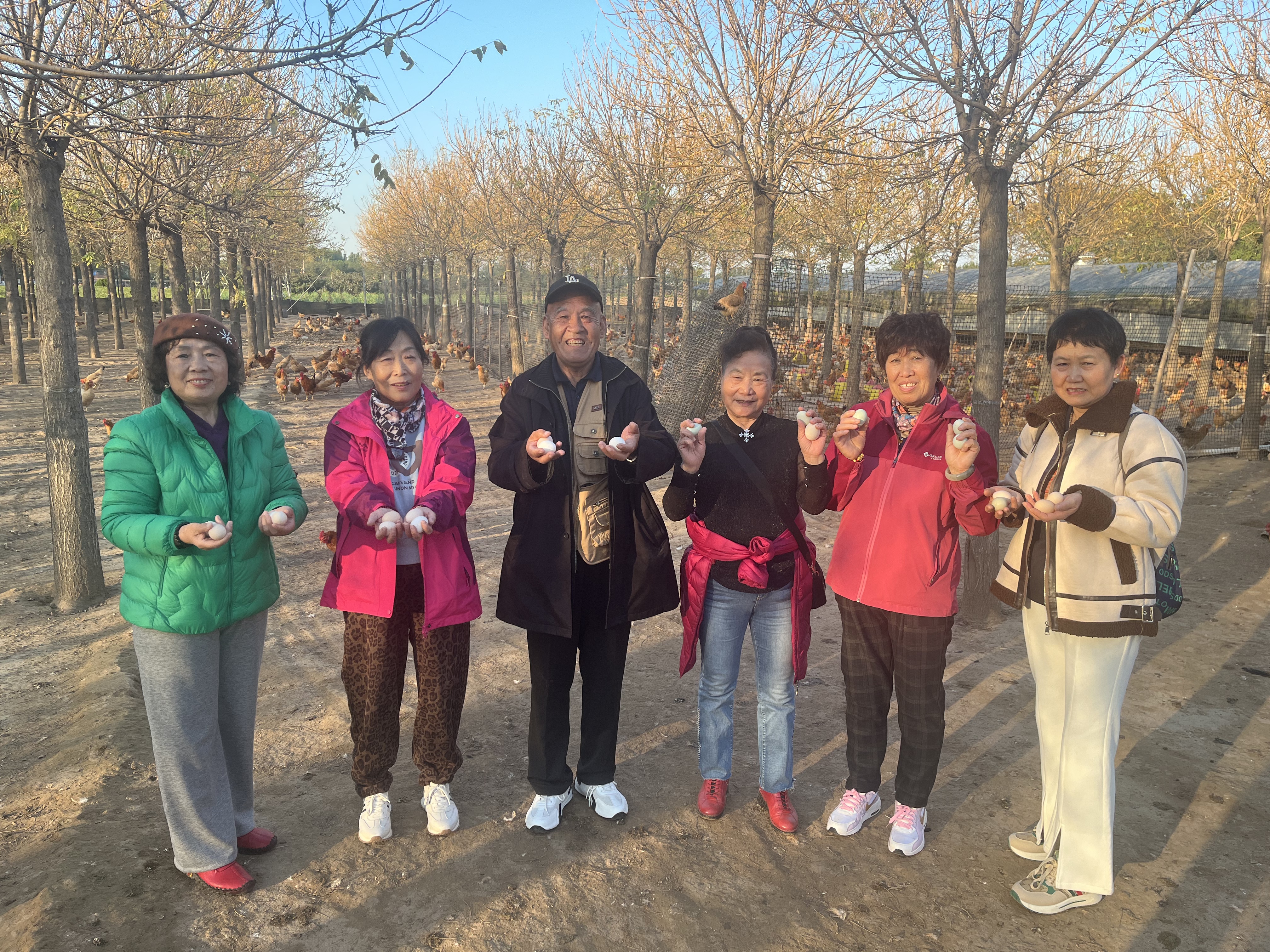 衡水新闻网